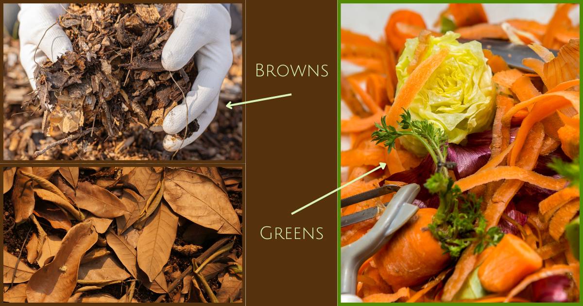 How To Make Your Best Compost For Garden Beds – Food For Life Garden