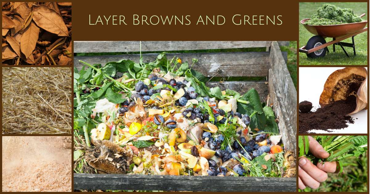 How To Make Your Best Compost For Garden Beds – Food For Life Garden