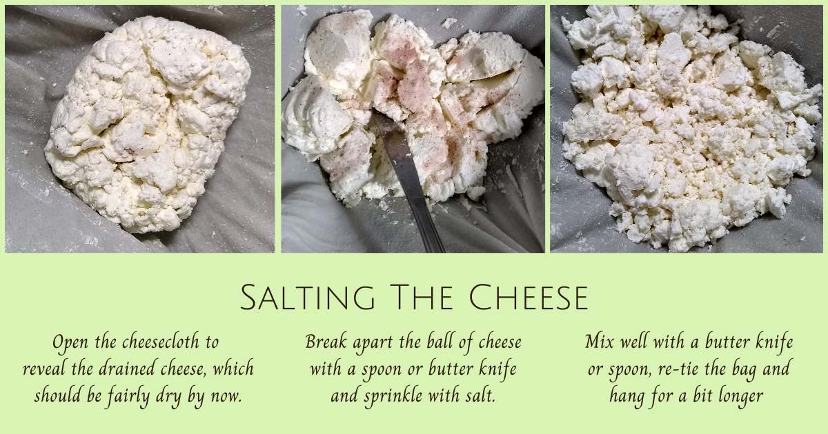 Chevre Recipe: Easy Homemade Cheese From Goat Milk – Food For Life Garden