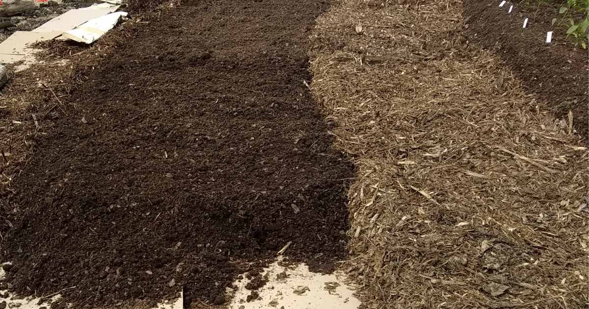 How To Make Mulch From Wood Chips For Your Garden – Food For Life Garden