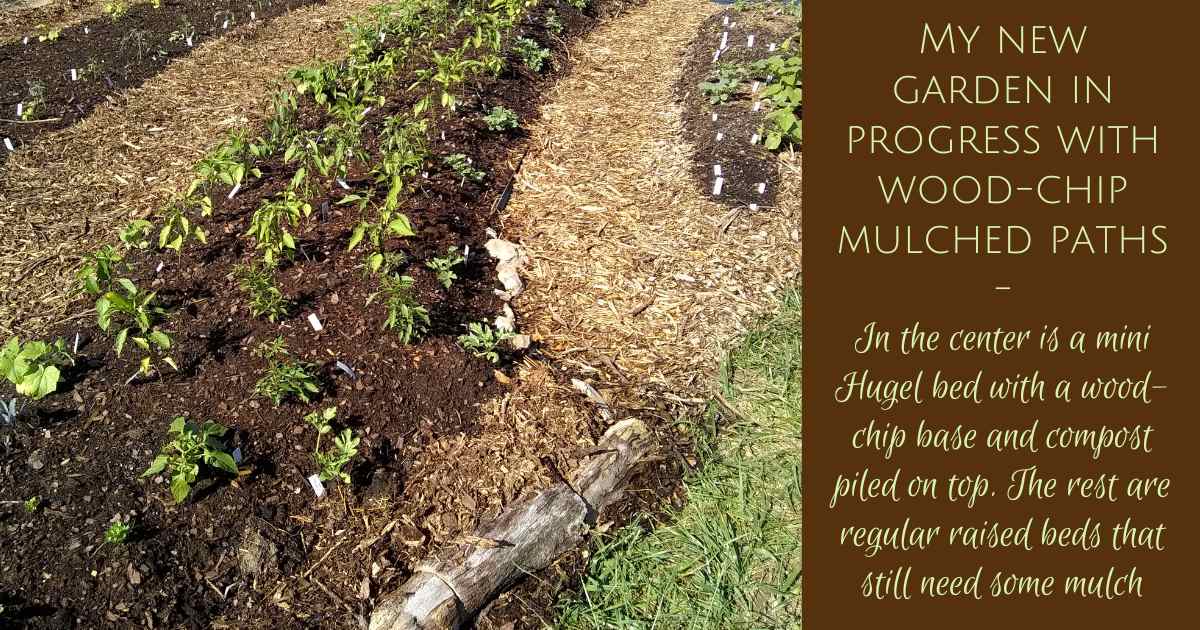 How To Make Mulch From Wood Chips For Your Garden – Food For Life Garden