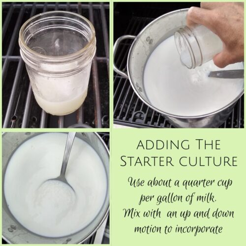 Natural Cheese Making Process: Make Cheese Unique – Food For Life Garden