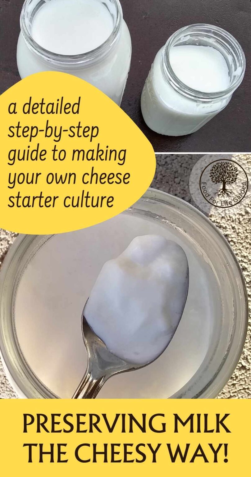 Natural Cheese Making Process: Make Cheese Unique – Food For Life Garden