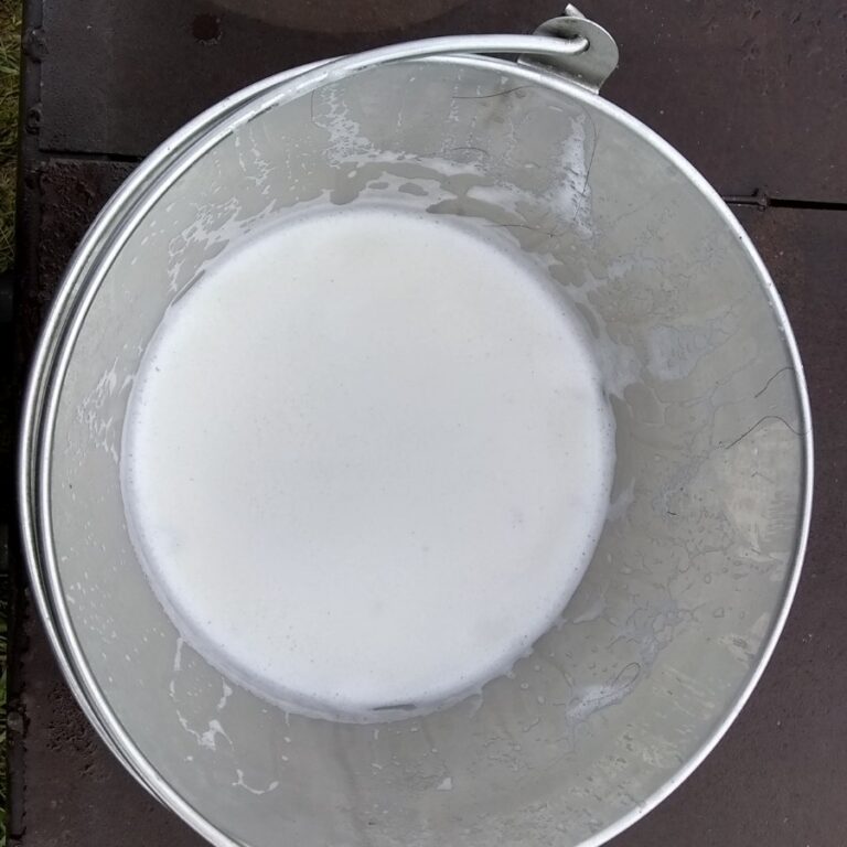 How To Make Awesome German Quark Cheese Or Topfen – Food For Life Garden