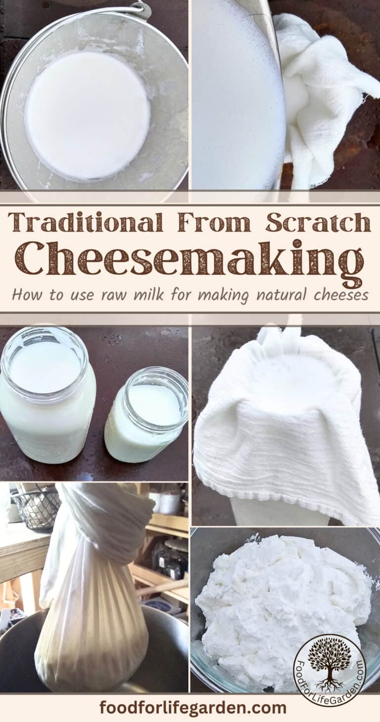 Natural Cheese Making Process: Make Cheese Unique – Food For Life Garden