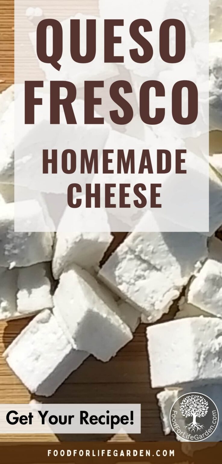 Queso Fresco Cheese Recipe, Homemade And Super Easy – Food For Life Garden