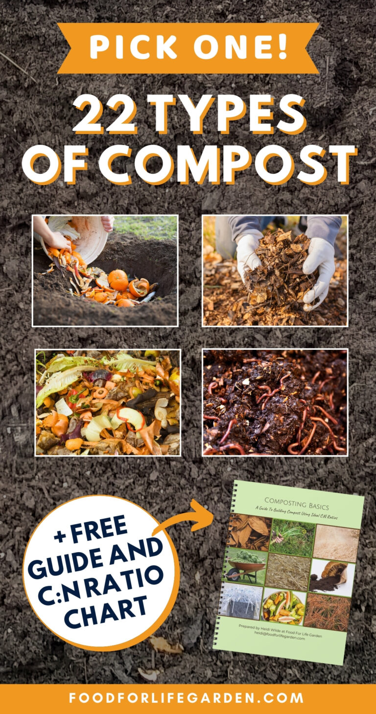 22 Different Types Of Compost, Best Methods And Uses – Food For Life Garden