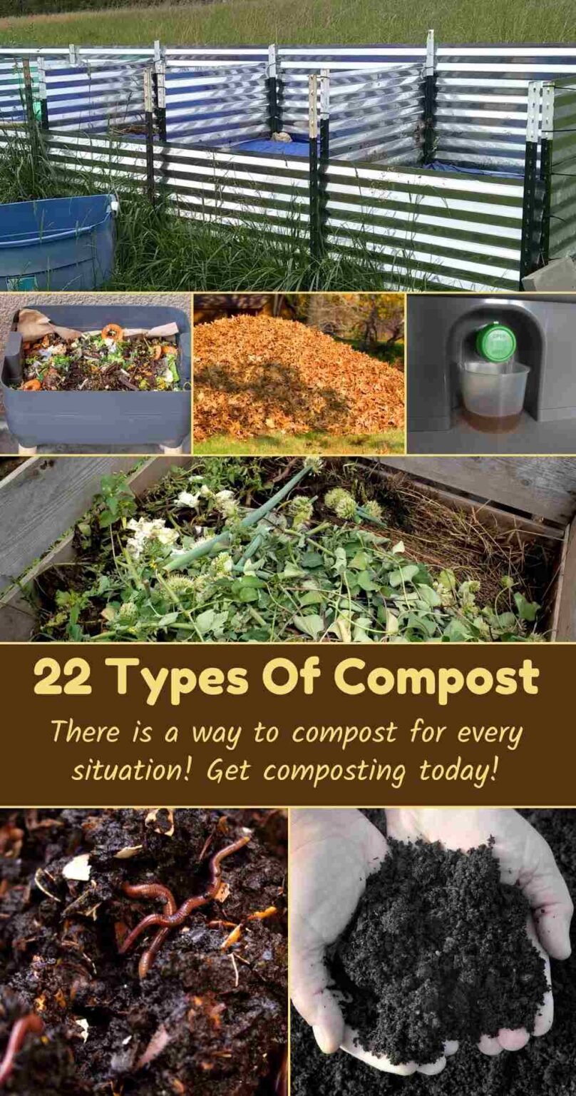 22 Different Types Of Compost, Best Methods And Uses – Food For Life Garden