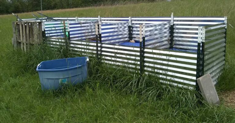 Plant Fruit trees the right way and the best compost for fruit trees ...