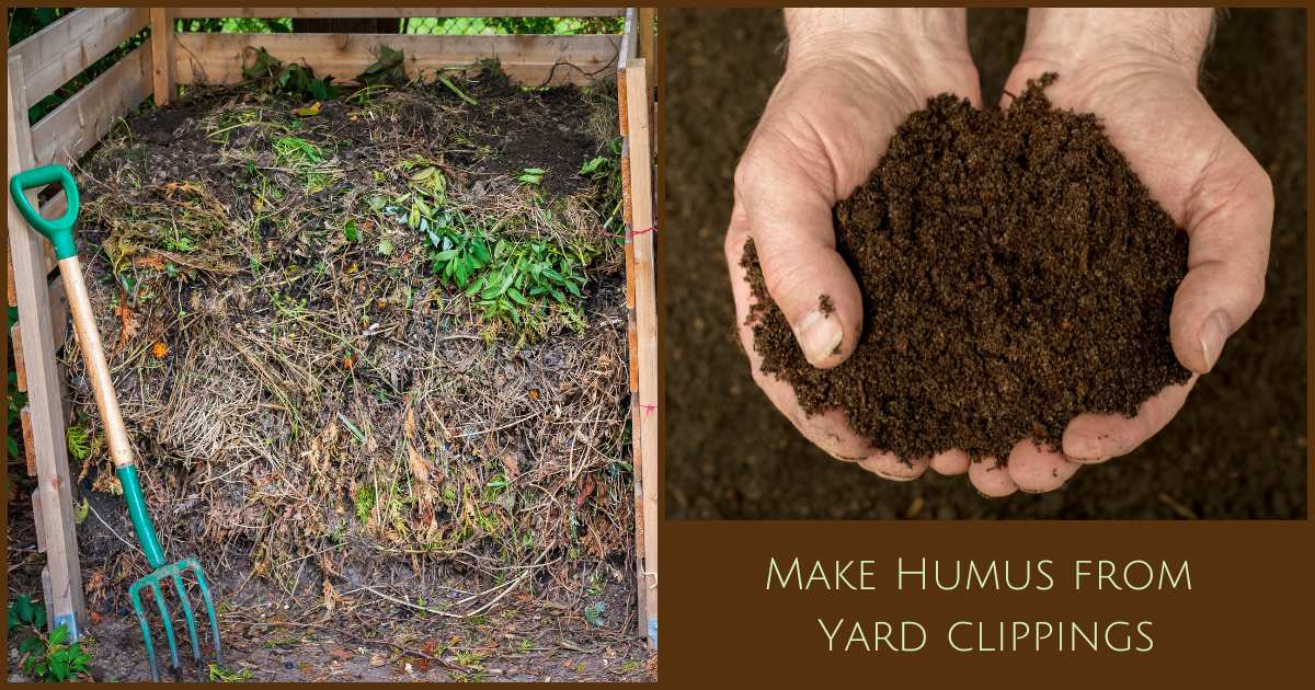 Plant Fruit trees the right way and the best compost for fruit trees ...