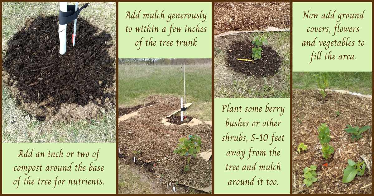 22 Different Types Of Compost, Best Methods And Uses – Food For Life Garden