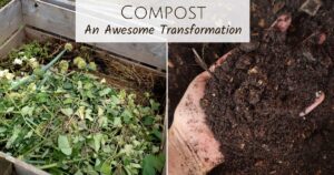 22 Different Types Of Compost, Best Methods And Uses – Food For Life Garden