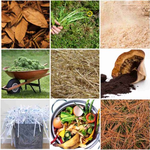 22 Different Types Of Compost, Best Methods And Uses – Food For Life Garden