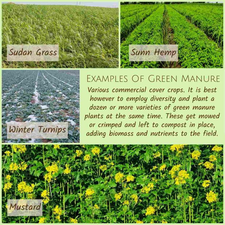 22 Different Types Of Compost, Best Methods And Uses – Food For Life Garden