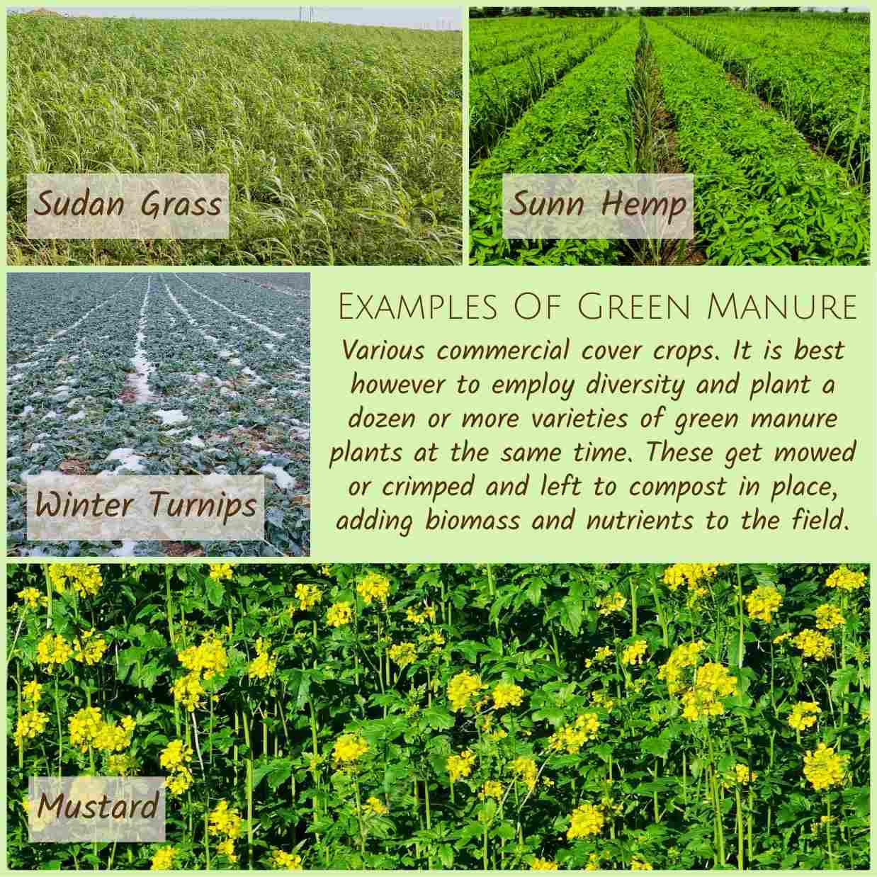 22 Different Types Of Compost, Best Methods And Uses – Food For Life Garden