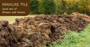 22 Different Types Of Compost, Best Methods And Uses – Food For Life Garden