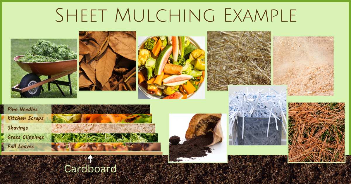 22 Different Types Of Compost, Best Methods And Uses – Food For Life Garden