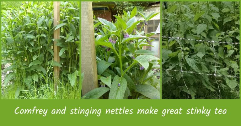 22 Different Types Of Compost, Best Methods And Uses – Food For Life Garden