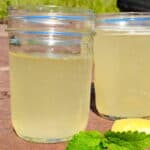 Ginger bug recipe puts exciting fizzy sodas on your table! – Food For ...
