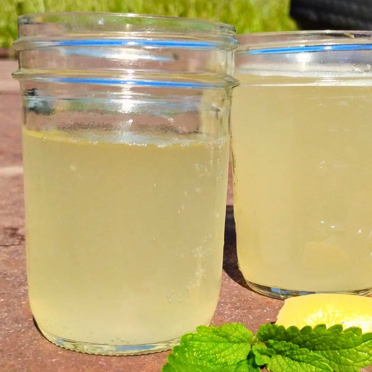 Ginger bug recipe puts exciting fizzy sodas on your table! – Food For ...