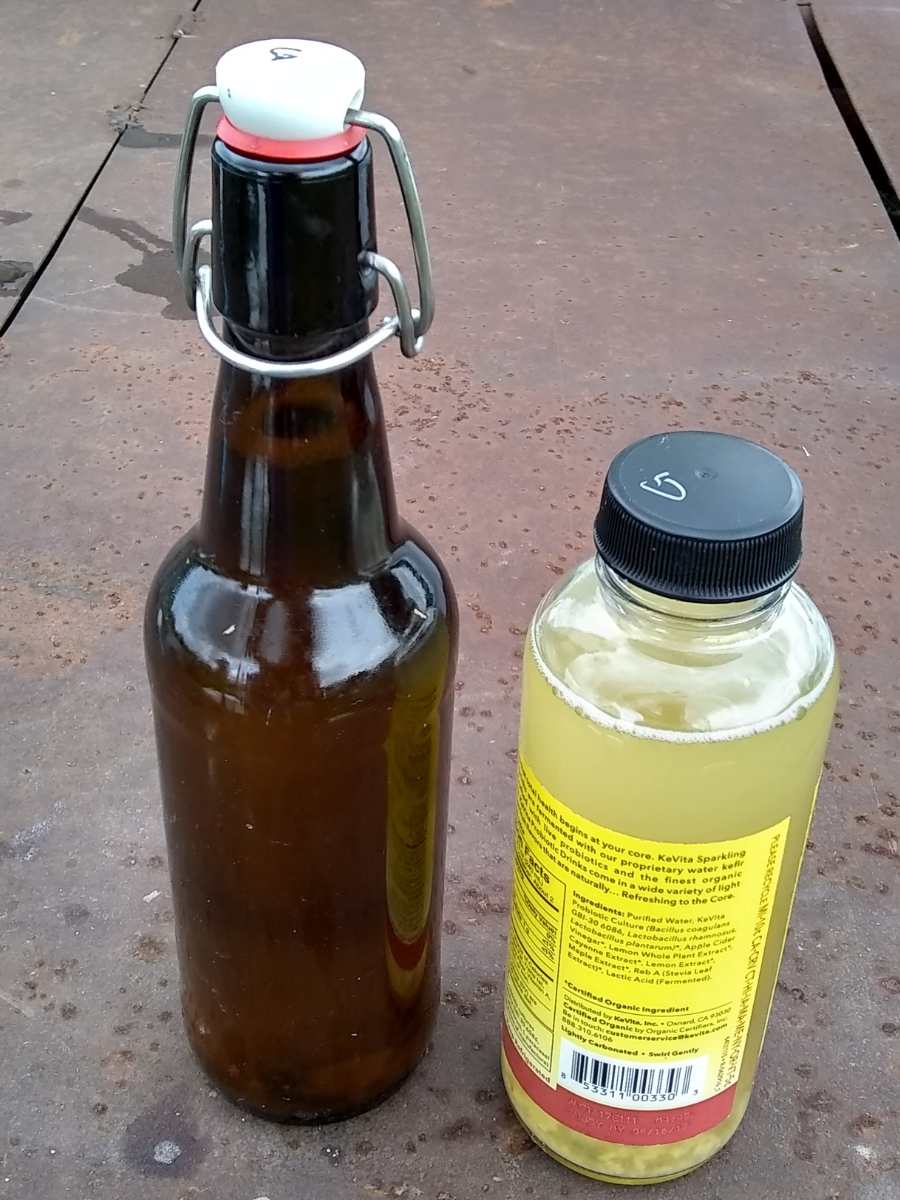 Ginger bug recipe puts exciting fizzy sodas on your table! – Food For ...