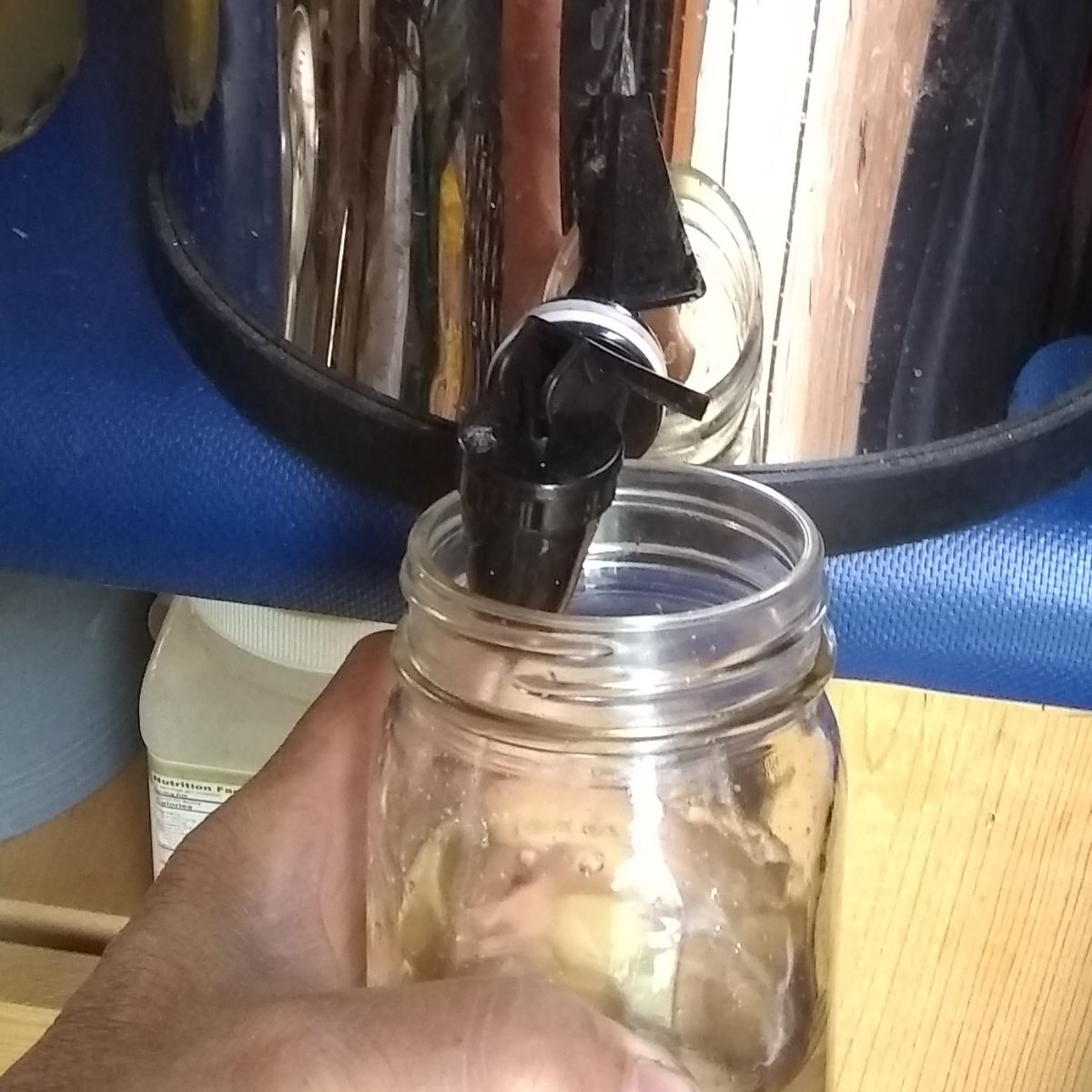 Ginger bug recipe puts exciting fizzy sodas on your table! – Food For ...