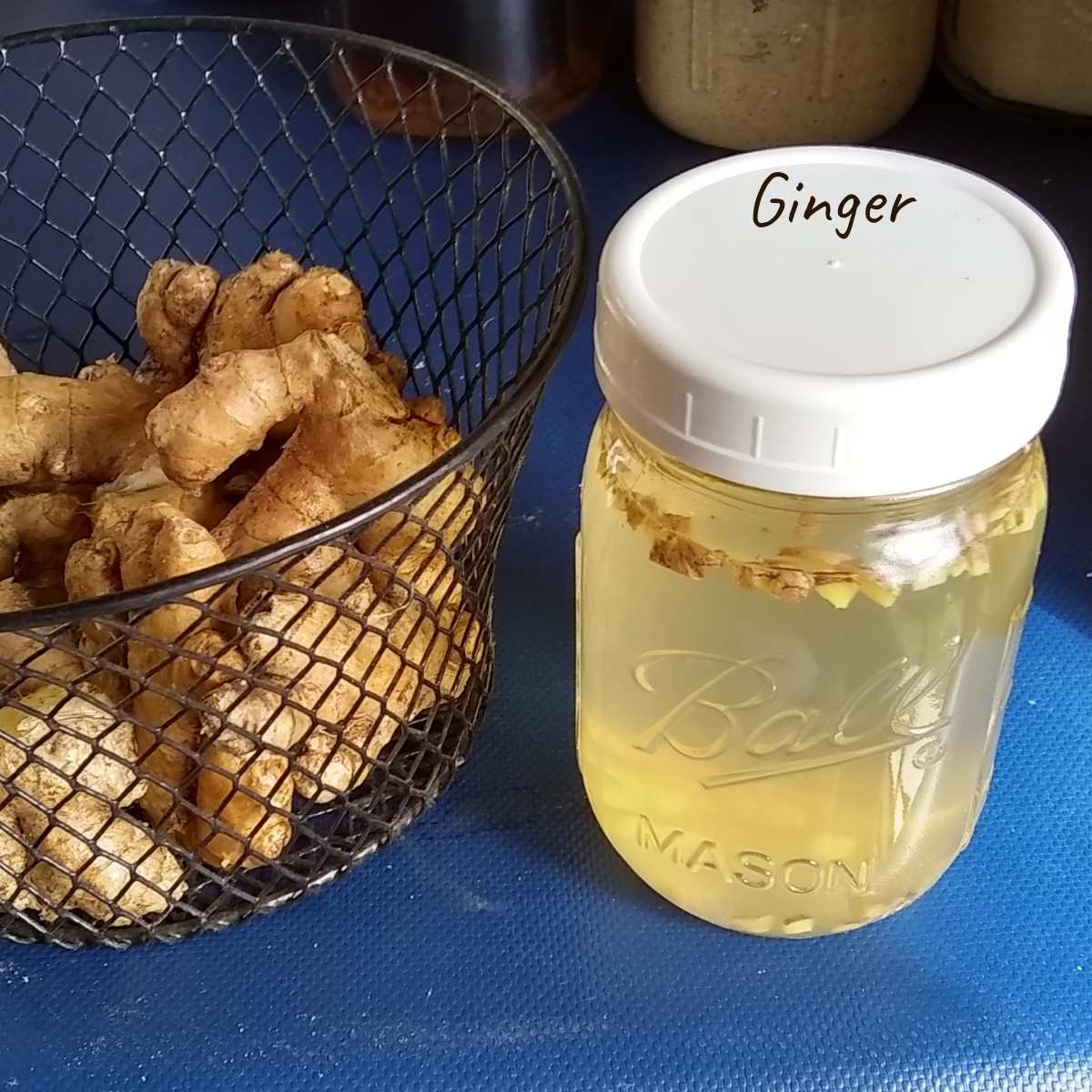 Ginger bug recipe puts exciting fizzy sodas on your table! – Food For ...