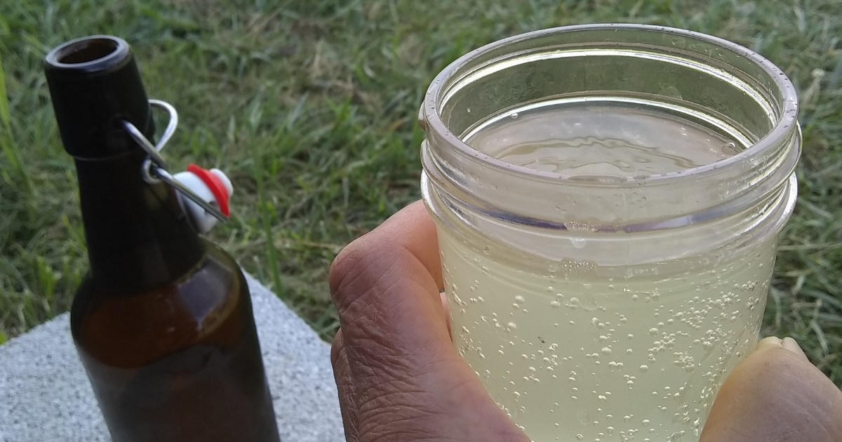 Best Ginger Beer Recipe - It's Fizzy, Delicious, And Healthy! – Food ...