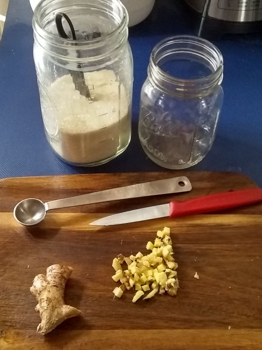 Ginger bug recipe puts exciting fizzy sodas on your table! – Food For ...