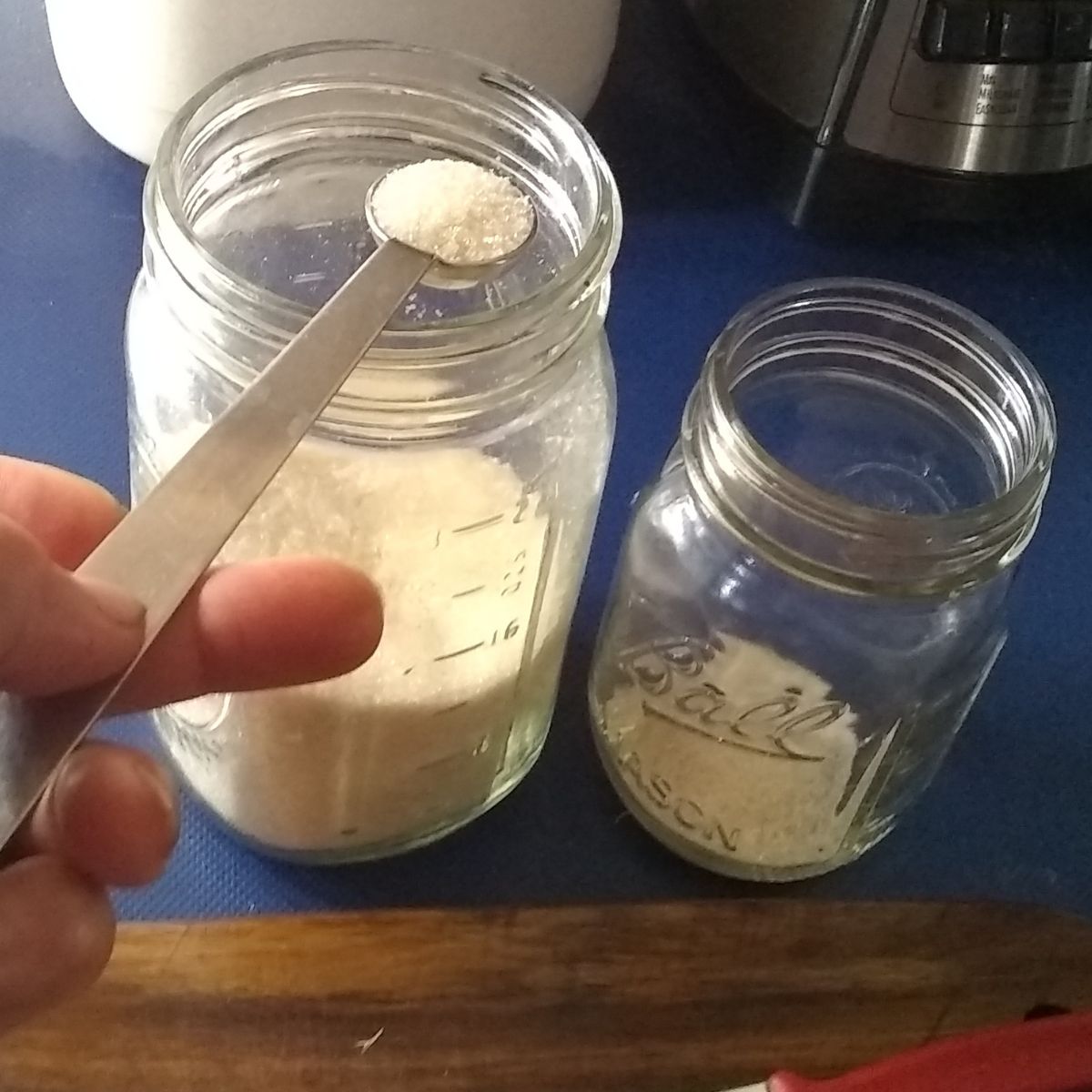 Ginger bug recipe puts exciting fizzy sodas on your table! – Food For ...