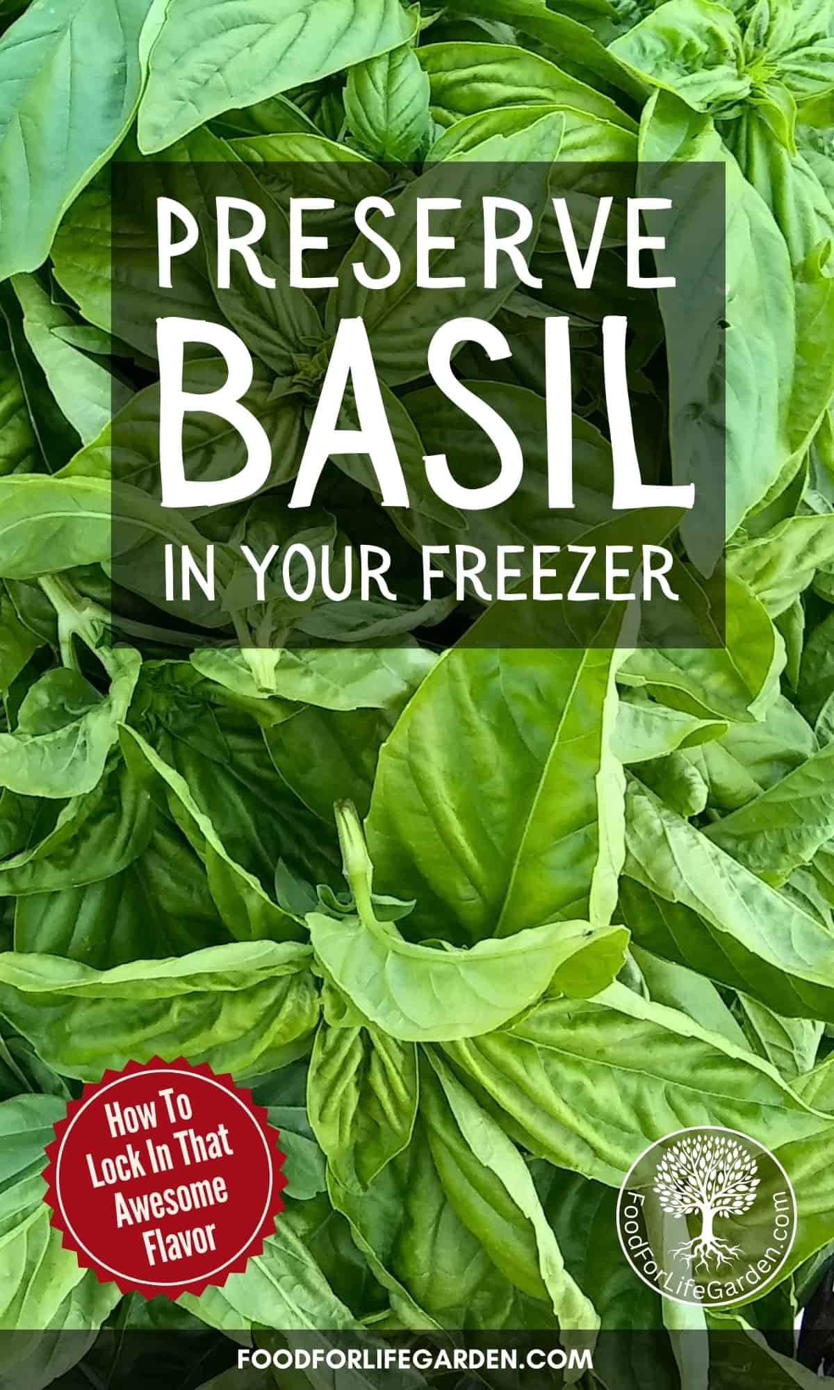 How To Freeze Basil - Preserve The Best Fresh Flavor – Food For Life Garden