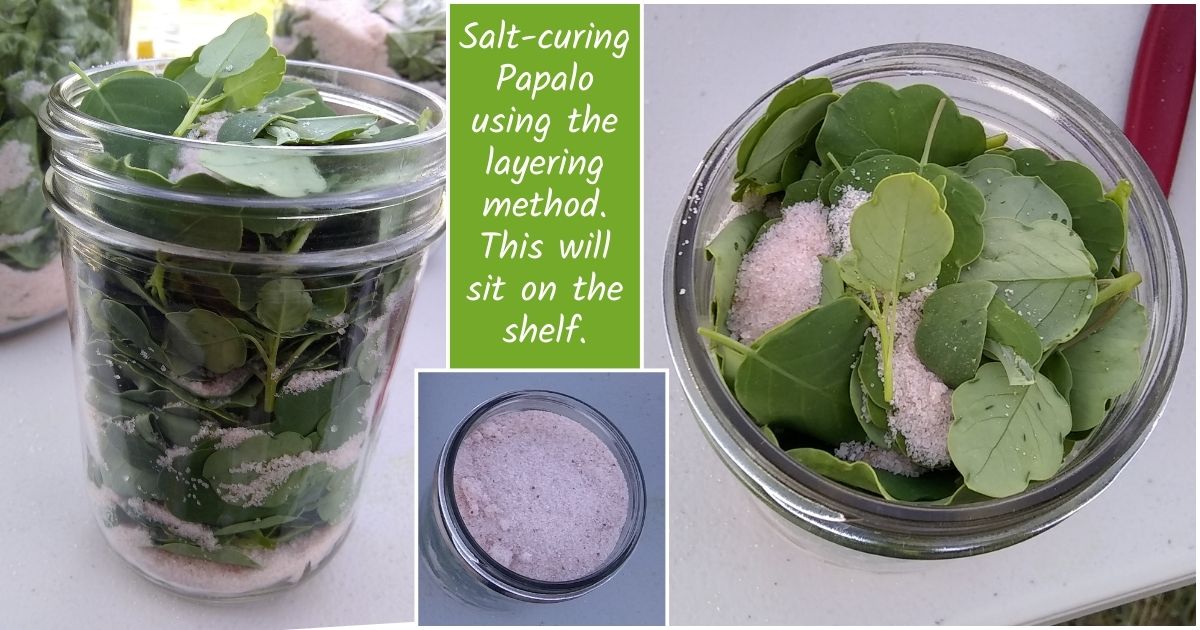 How to store basil long term: Salt-curing herbs – Food For Life Garden