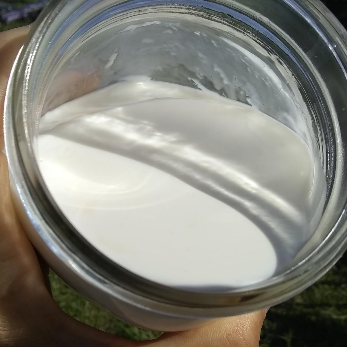 How To Make Awesome German Quark Cheese Or Topfen – Food For Life Garden