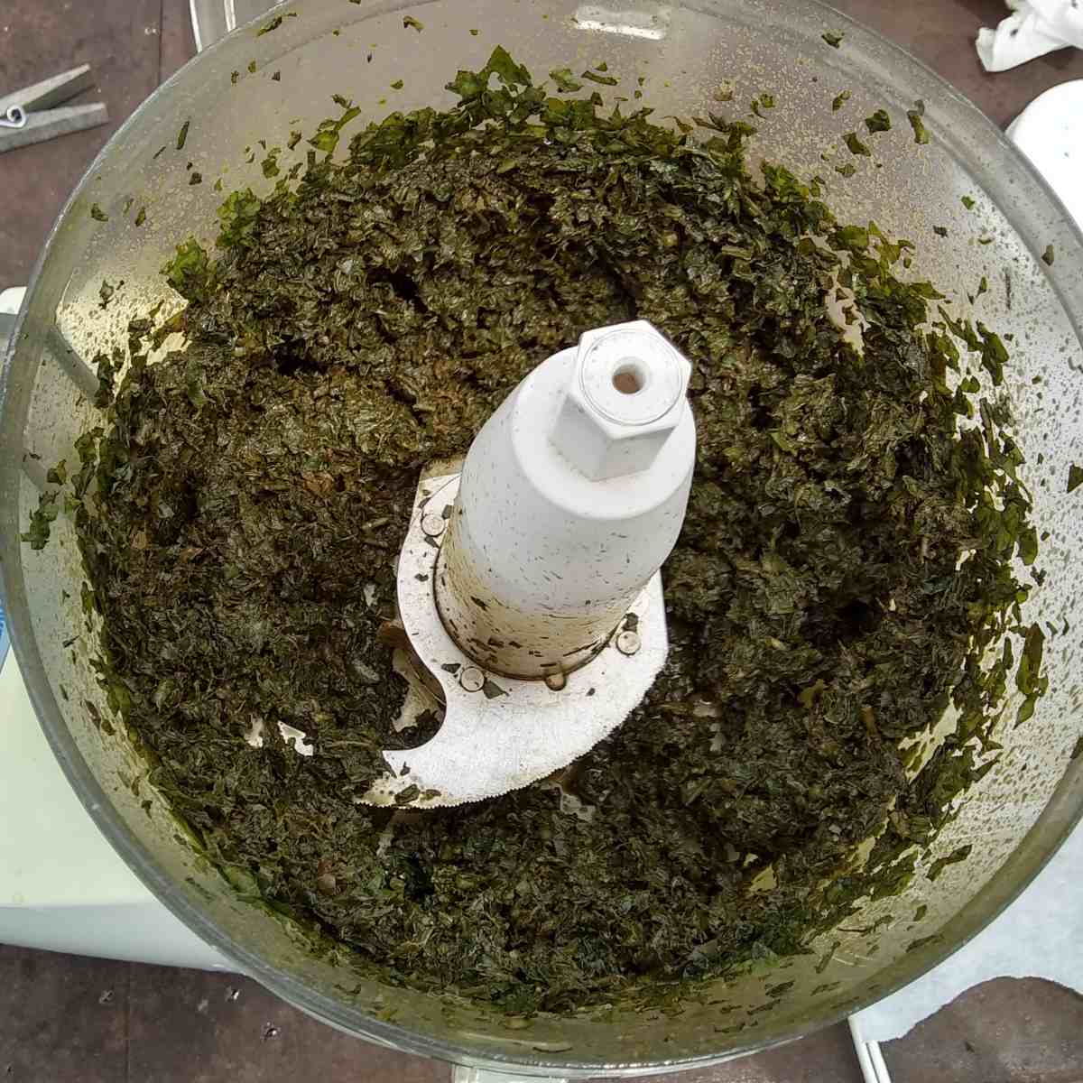 How To Freeze Basil - Preserve The Best Fresh Flavor – Food For Life Garden