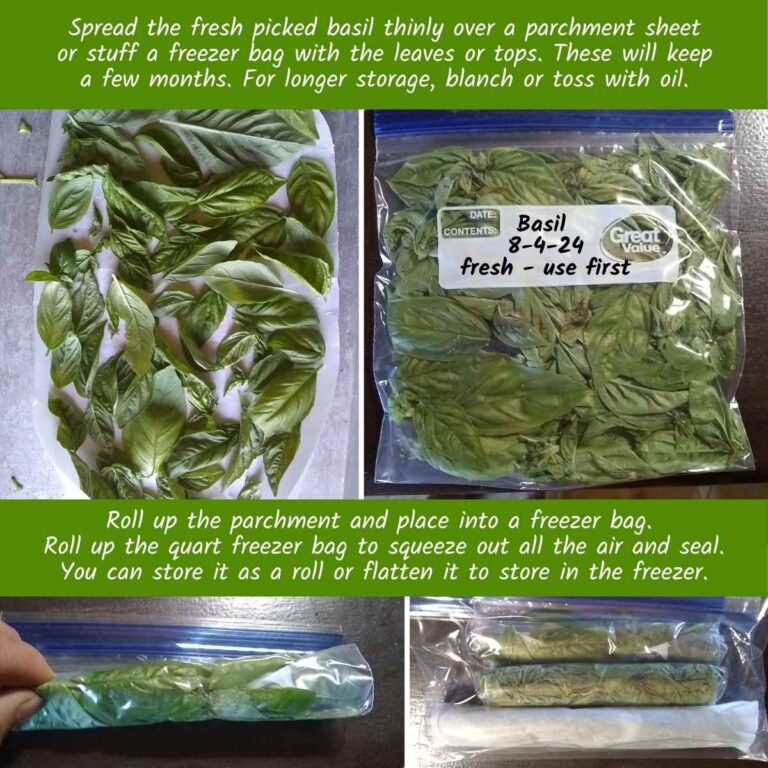 How To Freeze Basil - Preserve The Best Fresh Flavor – Food For Life Garden