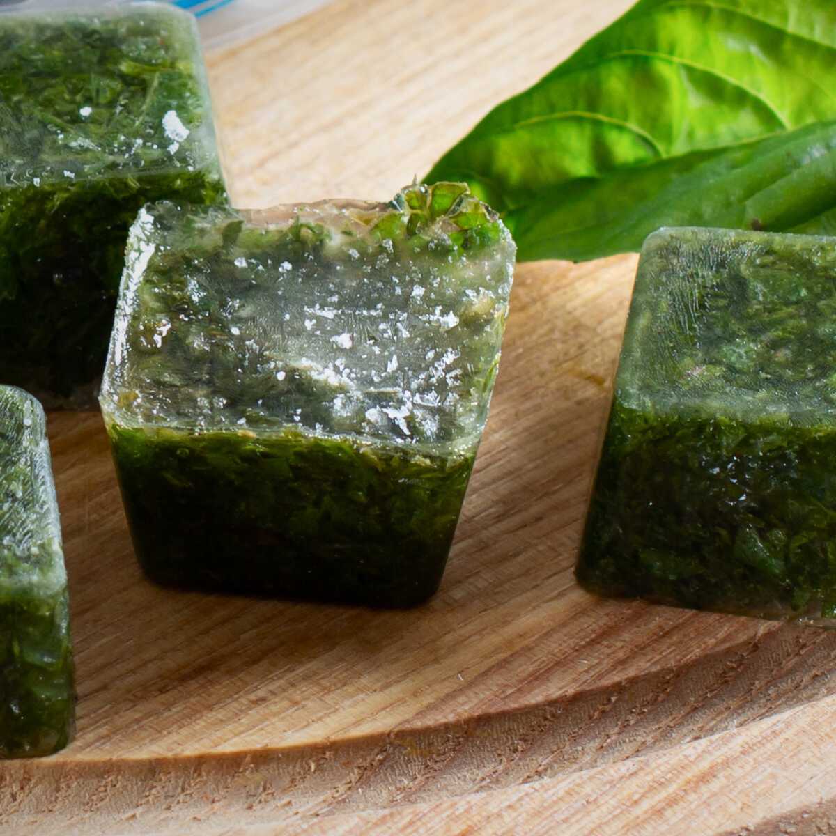 How To Freeze Basil - Preserve The Best Fresh Flavor – Food For Life Garden