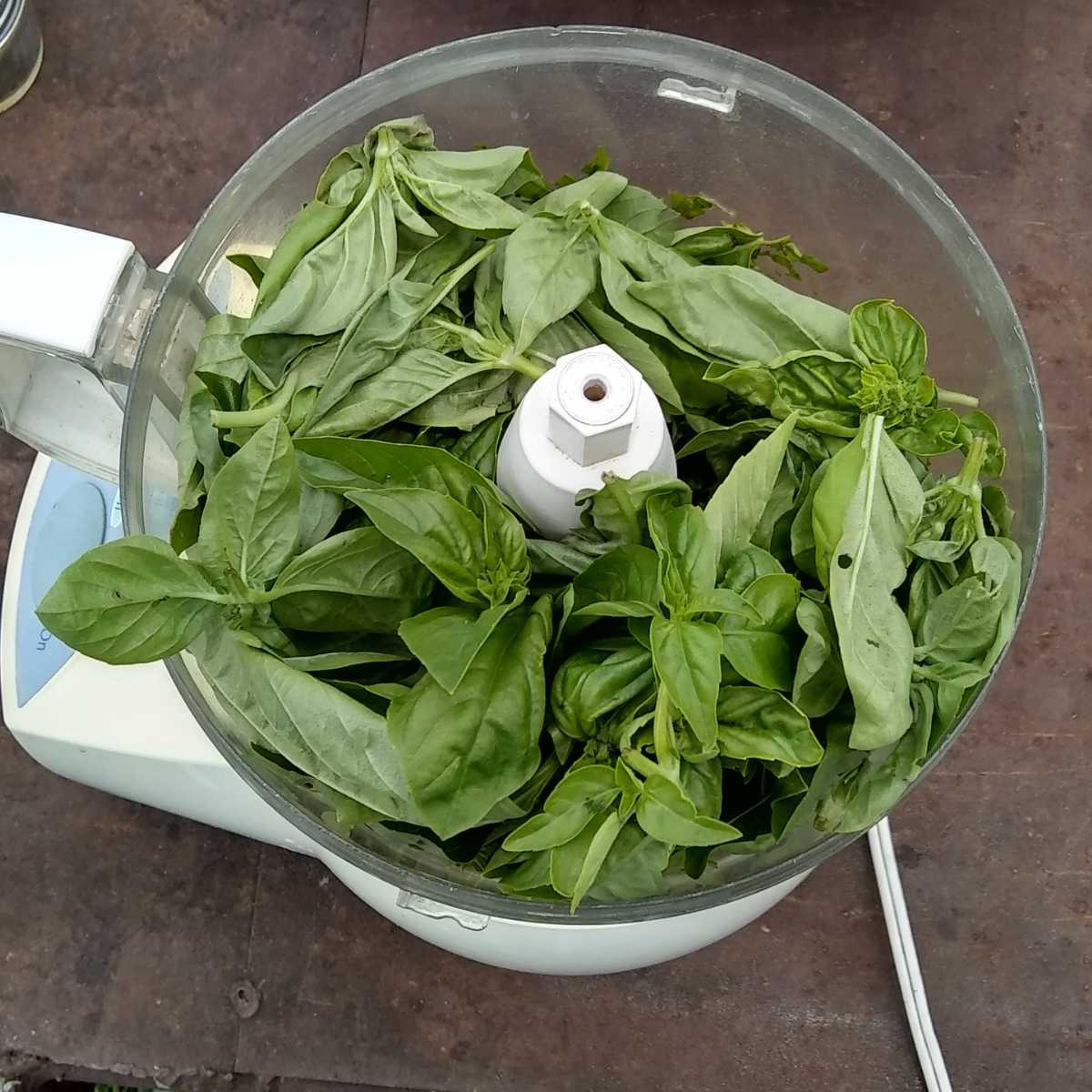 How To Freeze Basil - Preserve The Best Fresh Flavor – Food For Life Garden