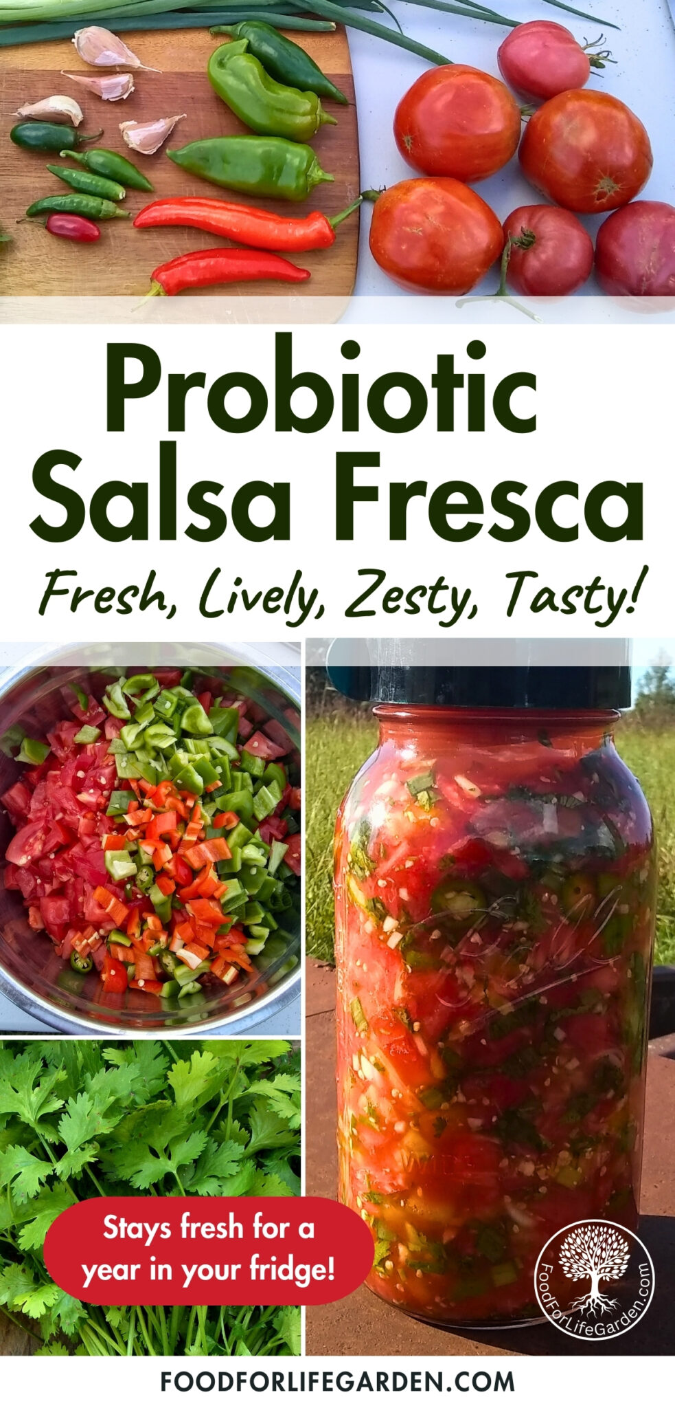 Delicious fermented Salsa recipe - Lock up Summer in a jar! – Food For ...