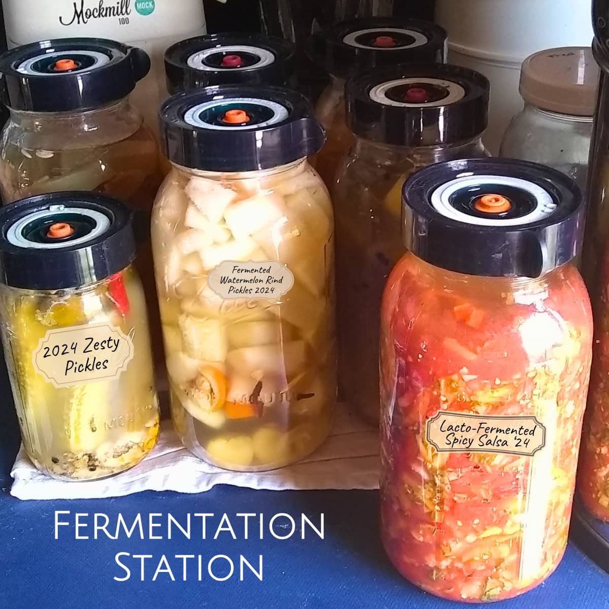 Lacto-Fermented Vegetables, Benefits And Easy Basic Recipes – Food For ...