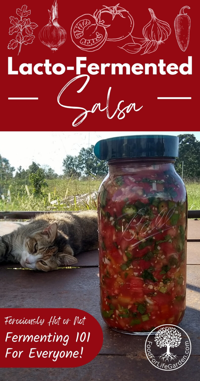 Delicious fermented Salsa recipe - Lock up Summer in a jar! – Food For ...
