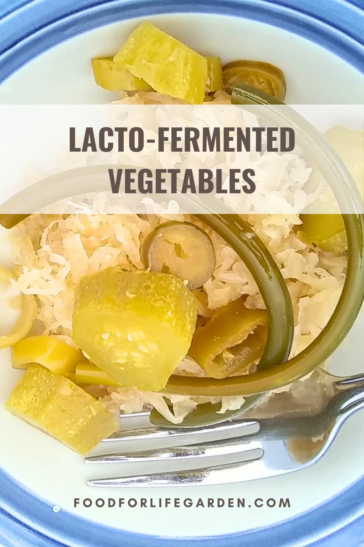 Lacto-Fermented Vegetables, Benefits And Easy Basic Recipes – Food For ...