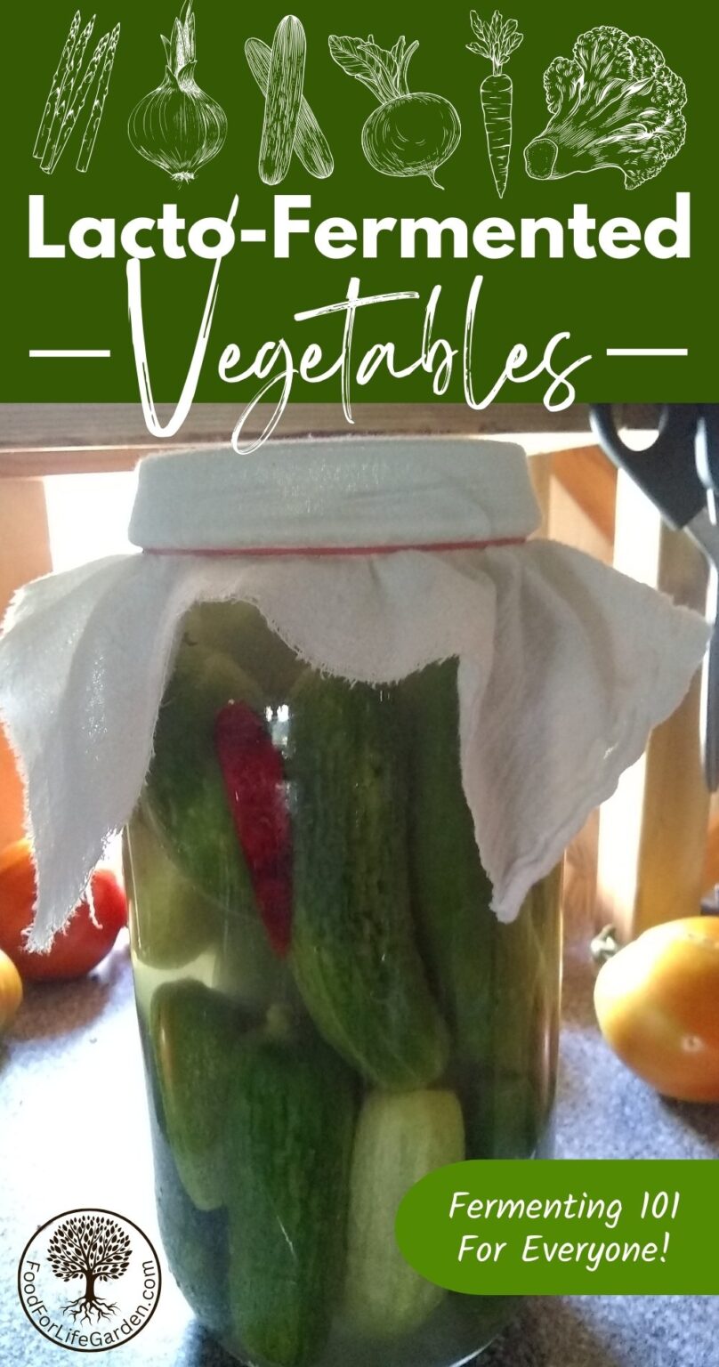 Lacto-Fermented Vegetables, Benefits And Easy Basic Recipes – Food For ...