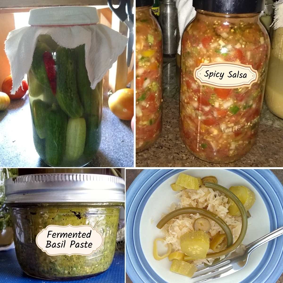Lacto-Fermented Vegetables, Benefits And Easy Basic Recipes – Food For ...