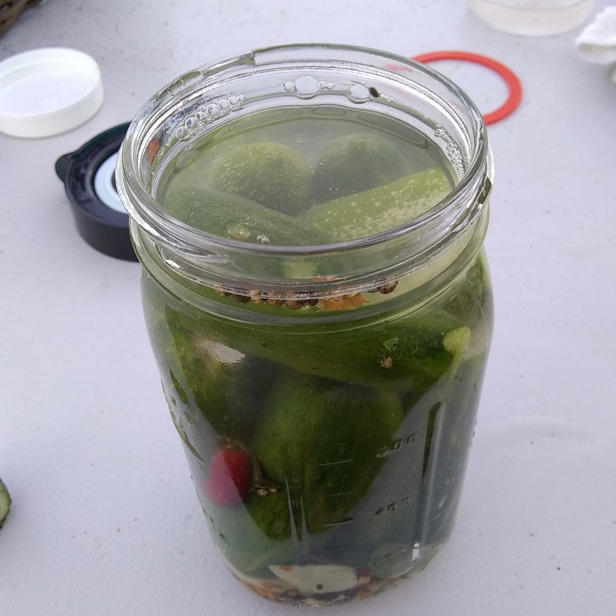 Easy Fermented Cucumber Pickles Are Brimming With Probiotics – Food For ...
