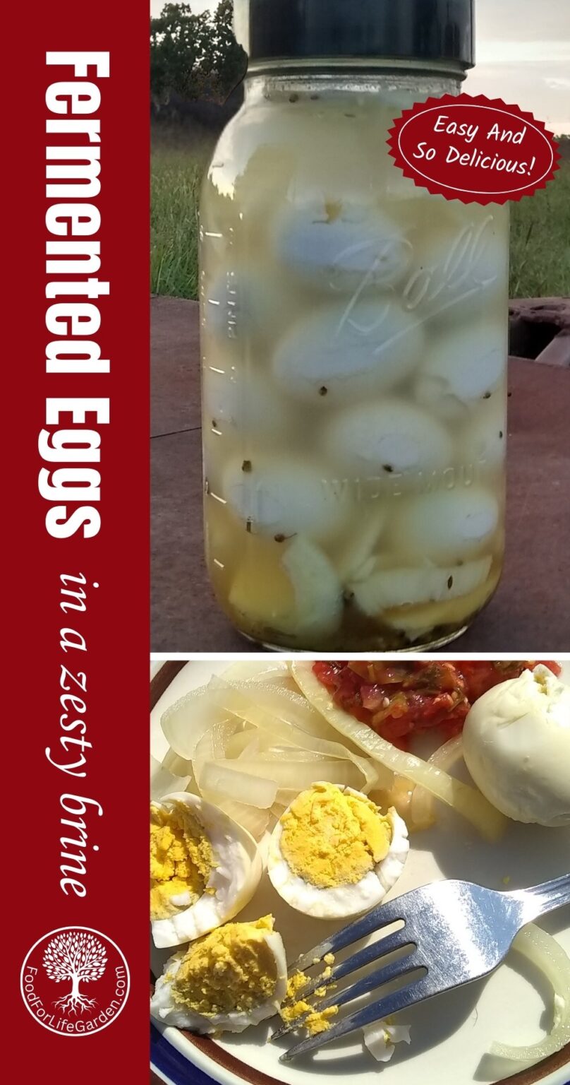 Fermented eggs - make probiotic eggs in a zesty brine – Food For Life ...