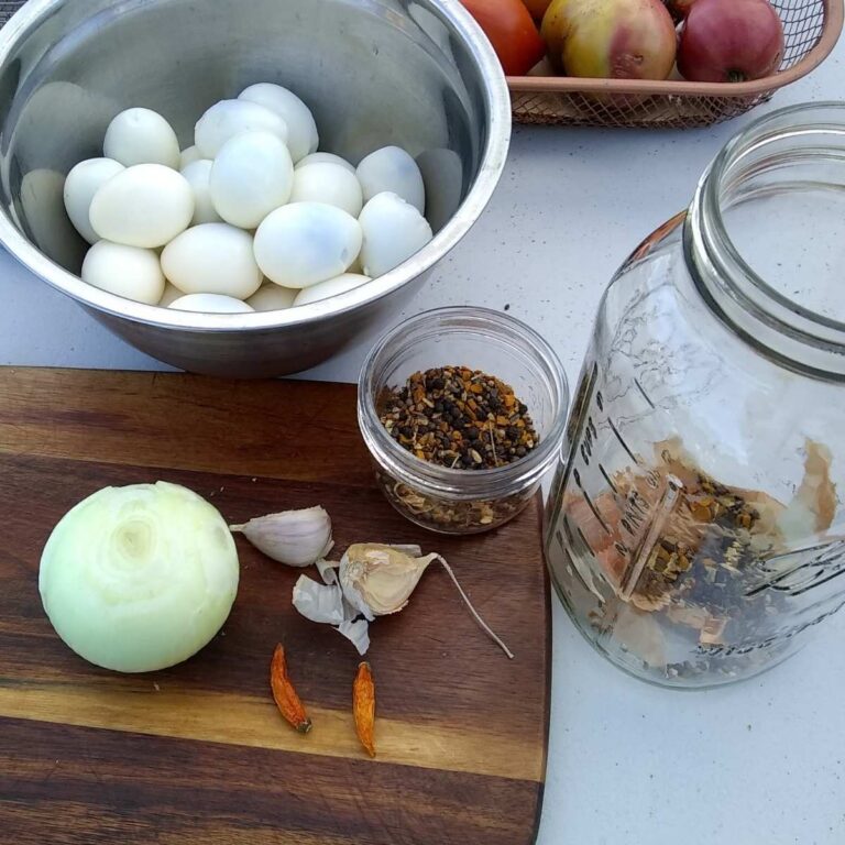 Fermented eggs - make probiotic eggs in a zesty brine – Food For Life ...