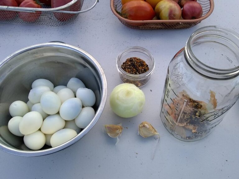 Fermented eggs - make probiotic eggs in a zesty brine – Food For Life ...