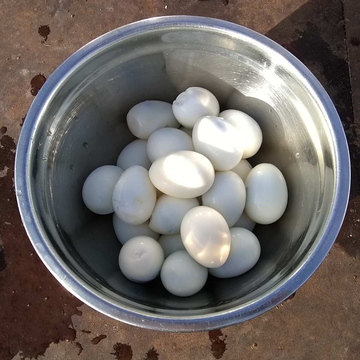 Fermented eggs - make probiotic eggs in a zesty brine – Food For Life ...