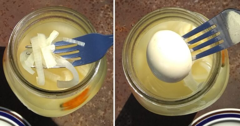 Fermented eggs - make probiotic eggs in a zesty brine – Food For Life ...