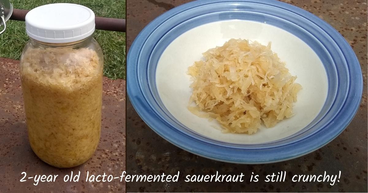 Lacto-Fermented Vegetables, Benefits And Easy Basic Recipes – Food For ...